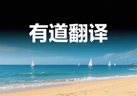 网易有道词典怎么使用离线词典功能？ 网易有道翻译