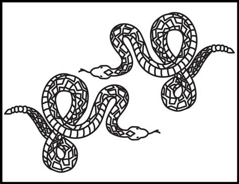 Rattlesnake Coloring Pages Roaring Spork