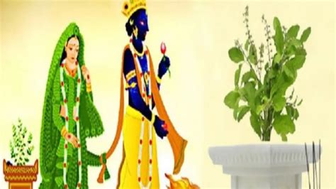 Tulsi Vivah 2024 Date तुळशी विवाह 12 की 13 नोव्हेंबरला जाणून घ्या