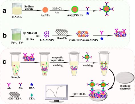 Electrochemical Immunosensor Based On Binary Nanoparticles Decorated Rgo Tepa As Magnetic