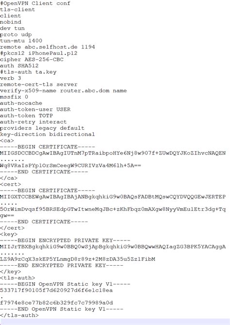 Openvpn Connection No Longer Possible Openvpn Ipfire Community