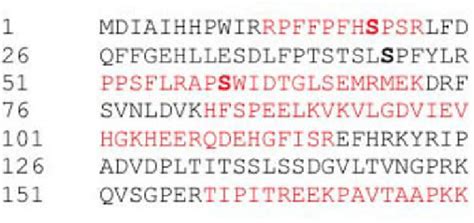 Mass Spectrometric Assignment Of αb Crystallin Peptides Amino Acid
