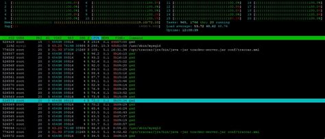 ubuntu server using 100 cpu traccar