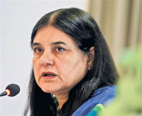 Iskcon Serves ₹100 Cr Defamation Notice On Maneka Over Cow Remark
