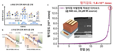 Kaist 양자점 뛰어넘는 적외선 센서 기술 개발