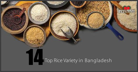 14 Top Rice Variety In Bangladesh Bangladesh Branding