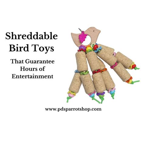 Pds Blog Pds Parrot Shop