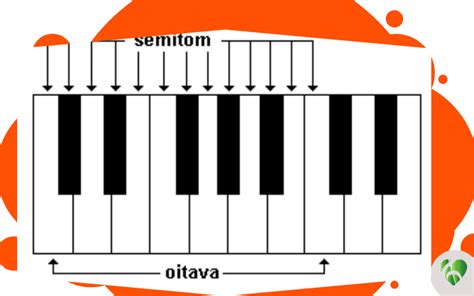 Escala De Tom E Semitom Como Diferenciar Escola De M Sica Suzuki
