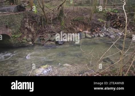Damaged Bridge Shows Broken Bridge After Heavy Rainfall And Extreme Weather With Floodwater And