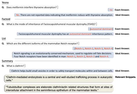 The Qa Examples Of The Bioasq Task 9b Phase B Qa Task Download