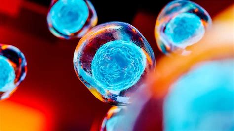 Principles And Applications Of Self Replicating Rna Design Boc Sciences