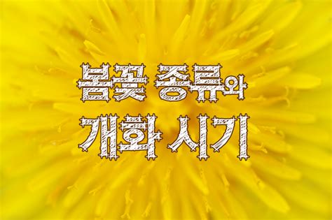 봄꽃 종류와 개화 시기 네이버 블로그