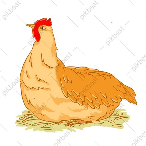 Psd Pikbest