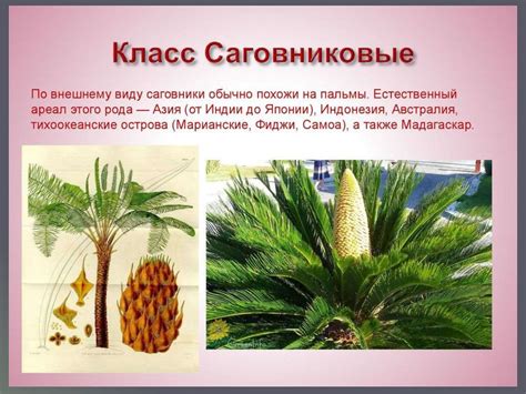 Геологическая история Земли - презентация онлайн