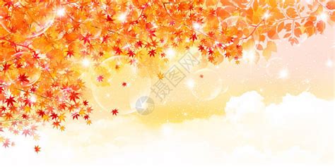 枫叶秋景背插画图片下载 正版图片402323518 摄图网
