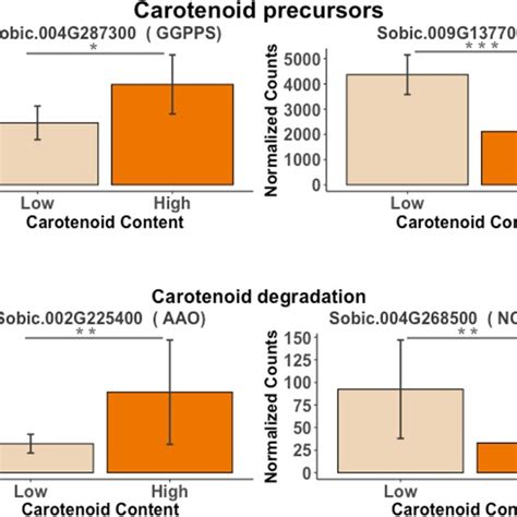 Biosynthesis Pathway Differentially Expressed Genes And Patterns Of