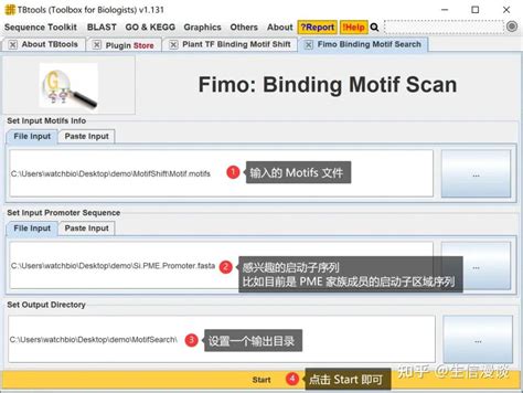 零代码 预测转录因子结合的顺式作用元件 知乎