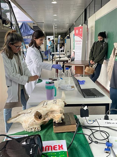Fvet Sede Salto En Universidad Puertas Abiertas Facultad De Veterinaria