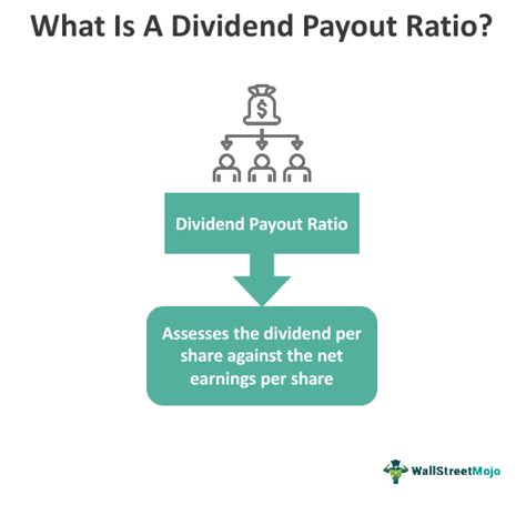 Dividend Payout Ratio