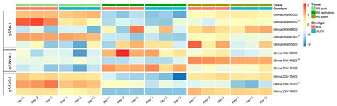 Agronomy Free Full Text Identification Of Multiple Genetic Loci And Candidate Genes