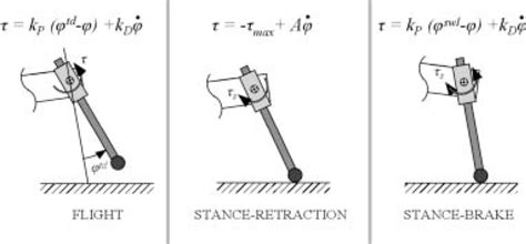 Control Action During The Phases Of The Bounding Gait Download Scientific Diagram