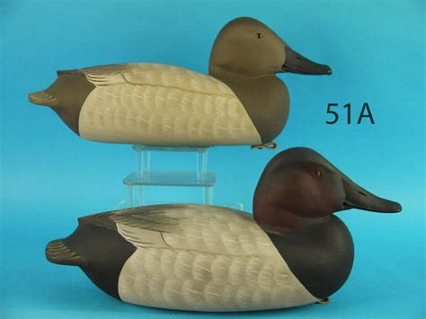 Canvasback Pair F Jennings