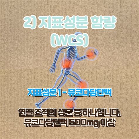 콘드로이친 1200 관절 연골 무릎 영양제로 관리하는 방법 네이트뷰