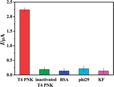 Selectivity Of The Proposed Amplification Strategy For The T4 Pnk