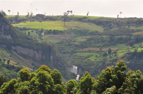 케냐 산 국립공원과 천연림mount Kenya National Park 네이버 블로그