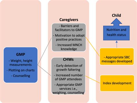 Conceptual Framework For Improved Growth Monitoring And Promotion Download Scientific Diagram