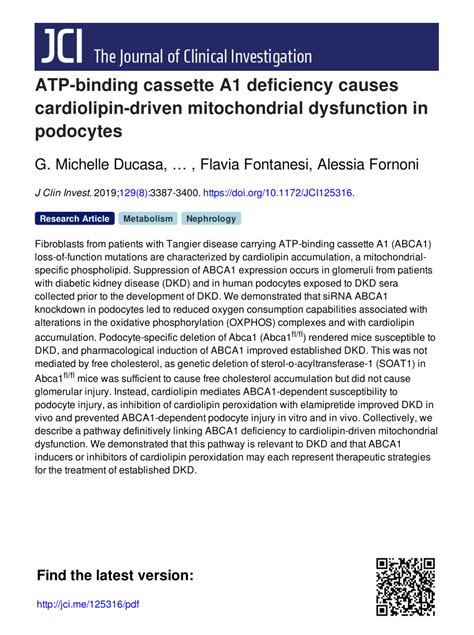 Pdf Atp Binding Cassette A1 Deficiency Causes Cardiolipin Driven Mitochondrial Dysfunction In