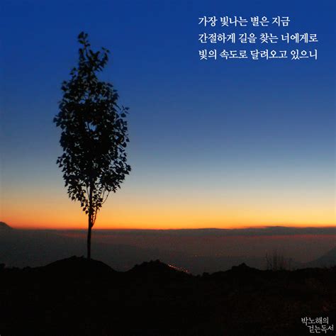 가장 빛나는 별은 네이버 포스트
