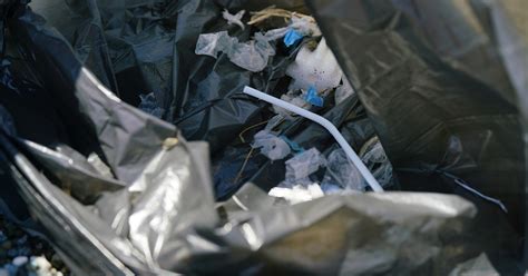 Testicoli E Microplastica La Nuova Scoperta Su Questo Inquinamento