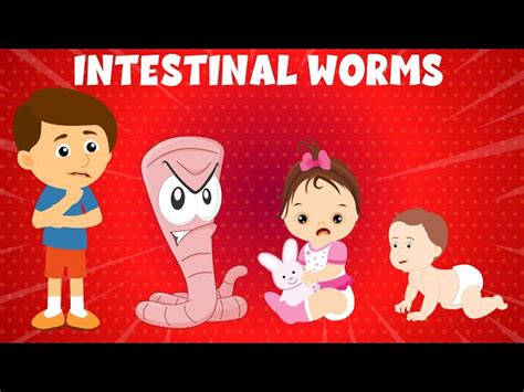 Intestinal Worms Parasitic Worms Types Of Worms In Humans Symptoms