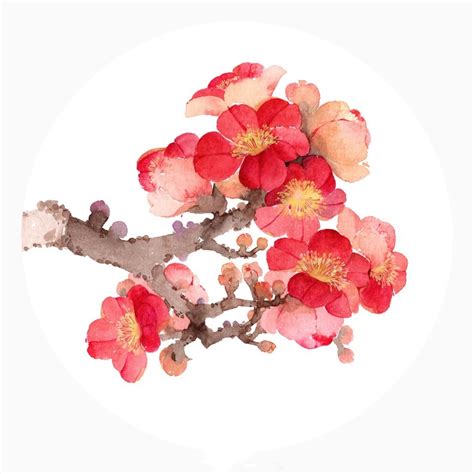 植物 高清图片堆糖美图壁纸兴趣社区