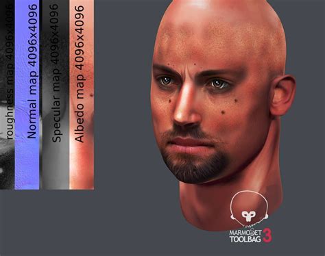 3d Model Male Head Realistic Perfect Head Low Poly 3d Model Game Ready