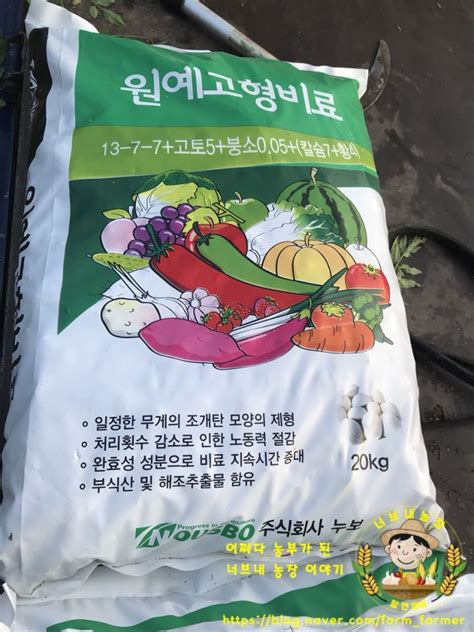 고추 비료주기 네이버 블로그