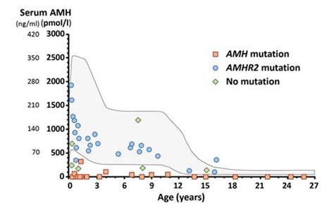 Amh And Amhr2 Involvement In Congenital Disorders Of Sex Development