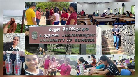 English Assignment Ict Lecture Campus 🌹 පාන්දර ඉදන් ගිය ගමන 😍😘