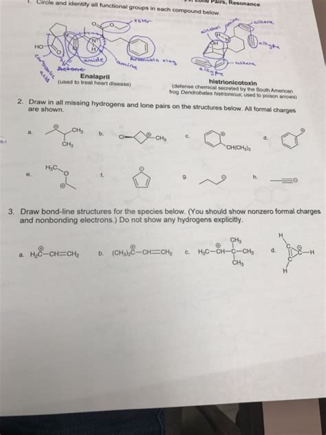 Solved Circle And Identify All Functional Groups In Each Chegg
