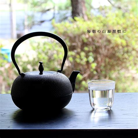 南部鉄瓶 南部鉄器 日本製 Sayu大 1l Ih対応 空間鋳造 おしゃれ コーヒー 直火 鉄分補給 やかん ケトル Kettle 茶道具