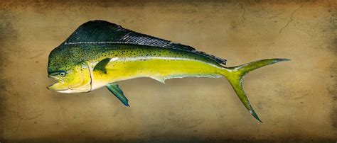 Home Bass Taxidermy Inc