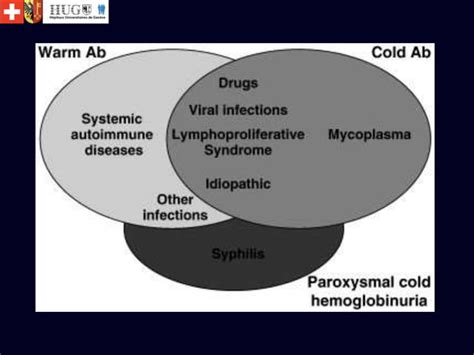 цус задрах хам шинж Pptx
