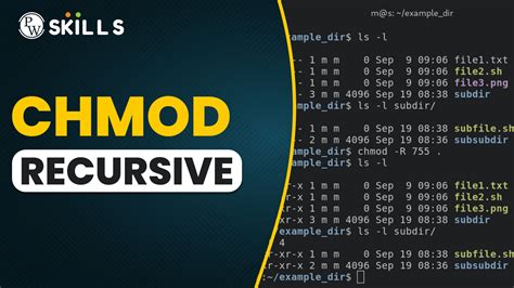 What Is Chmod Command And How To Use 7 Powerful Steps To Master