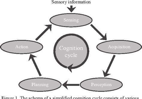 Figure 1 From Implementing A Cognition Cycle With Words Computation