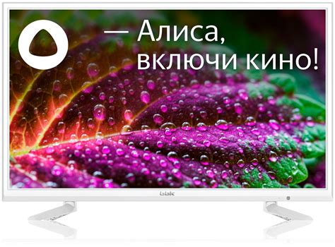 Кандидолл тв модель фиона — купить по низкой цене на Яндекс Маркете