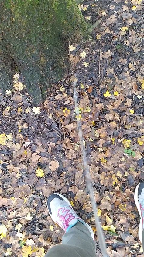 Pee In The Woods Video ThisVid