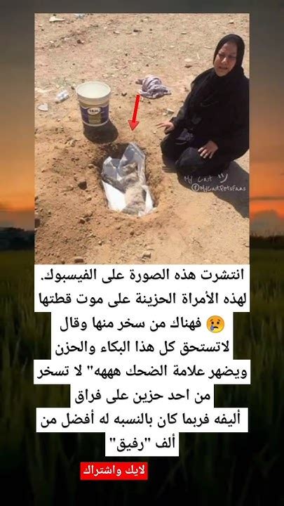 انتشرت هذه الصورة على الفيسبوك لهذه الأمراة الحزينة على موت قطتها😢