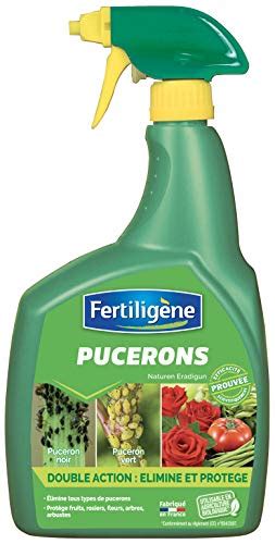 Pucerons Les 10 Solutions Anti Pucerons Naturelles Qui Vont Vous
