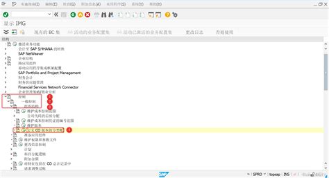 Sap Correct The Customizing Settings For Ledgers